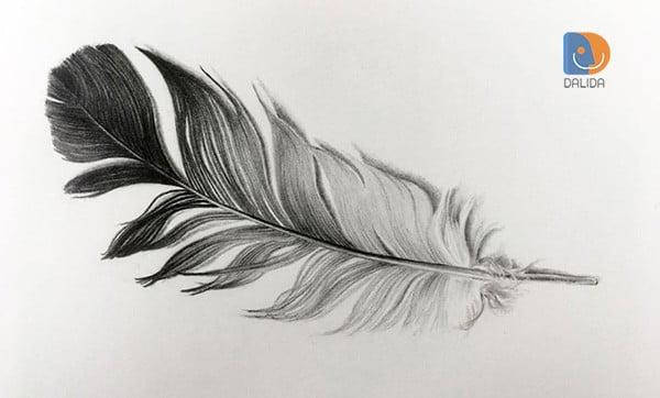 طراحی یک پر زیبا - آموزشگاه نقاشی و هنرکده آنلاین دالیدا